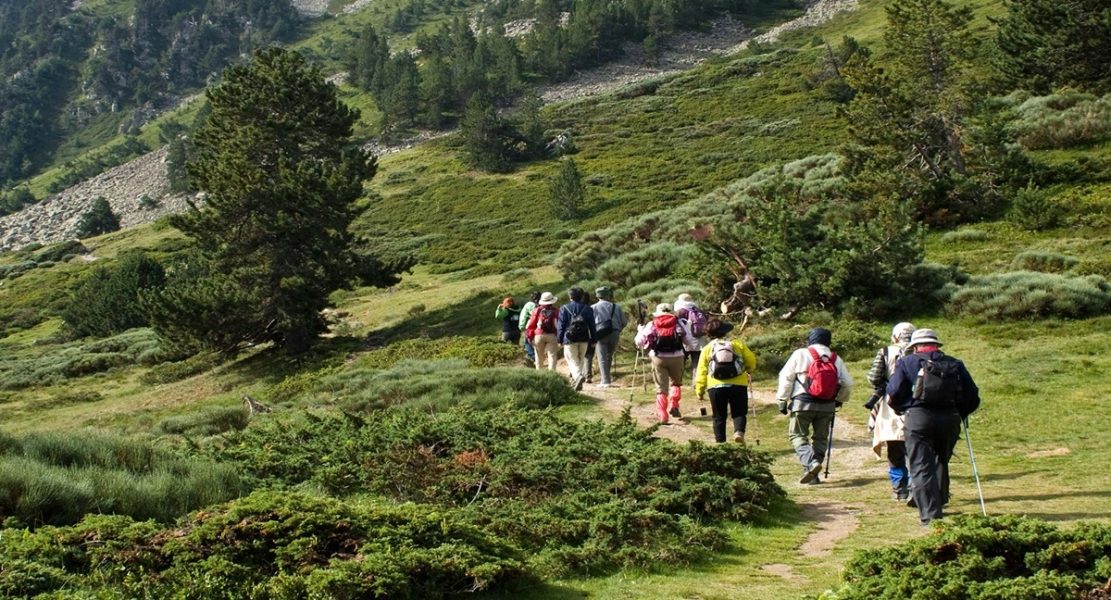 Senderismo: caminar en contacto con la naturaleza beneficia al cerebro ...