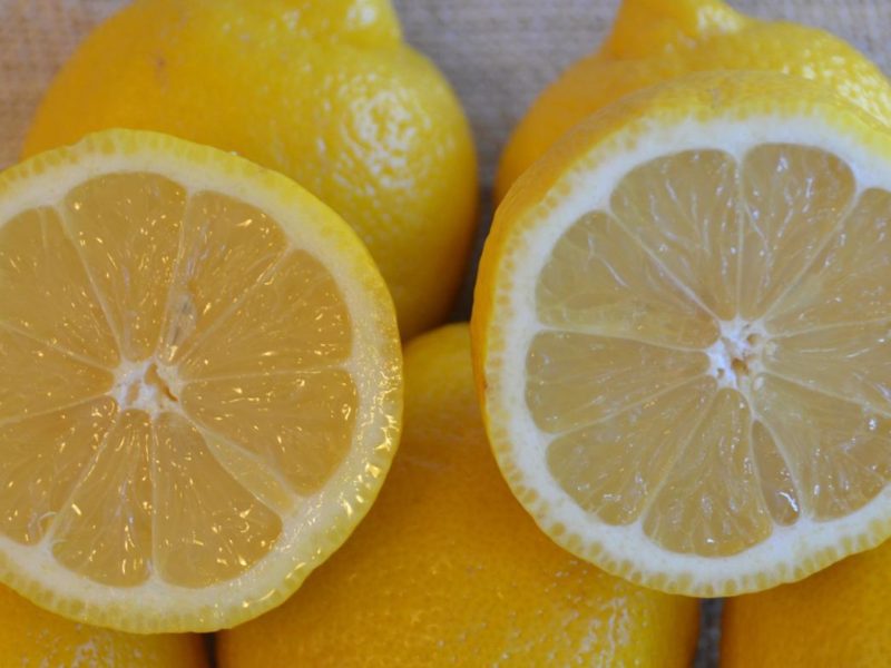 BuenaVibra – Salud, bienestar, viajes, placeres, familia, pareja ...