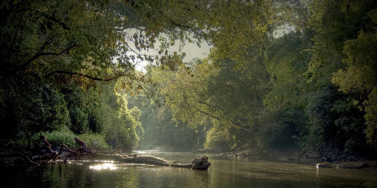 Un viaje por el corazón de la selva misionera a través de la Ruta ...